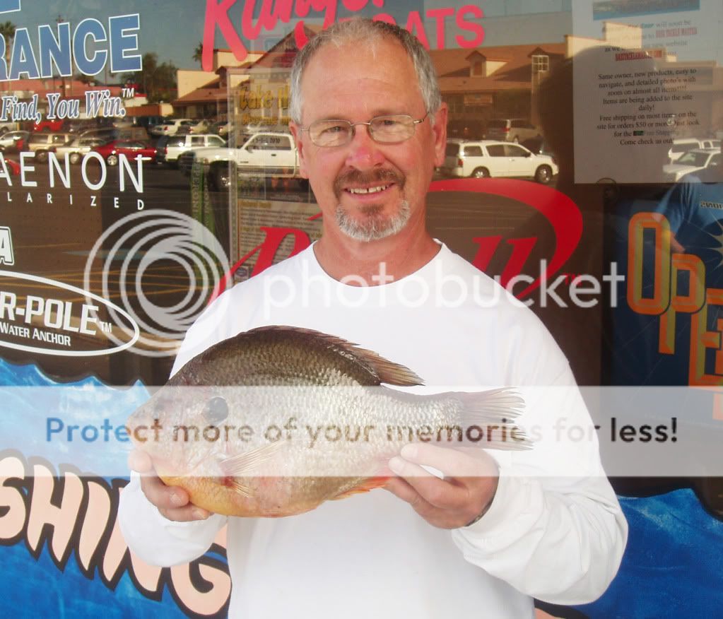 New Colorado River Record Redear Sunfish. - Bass Fishing Forum ...